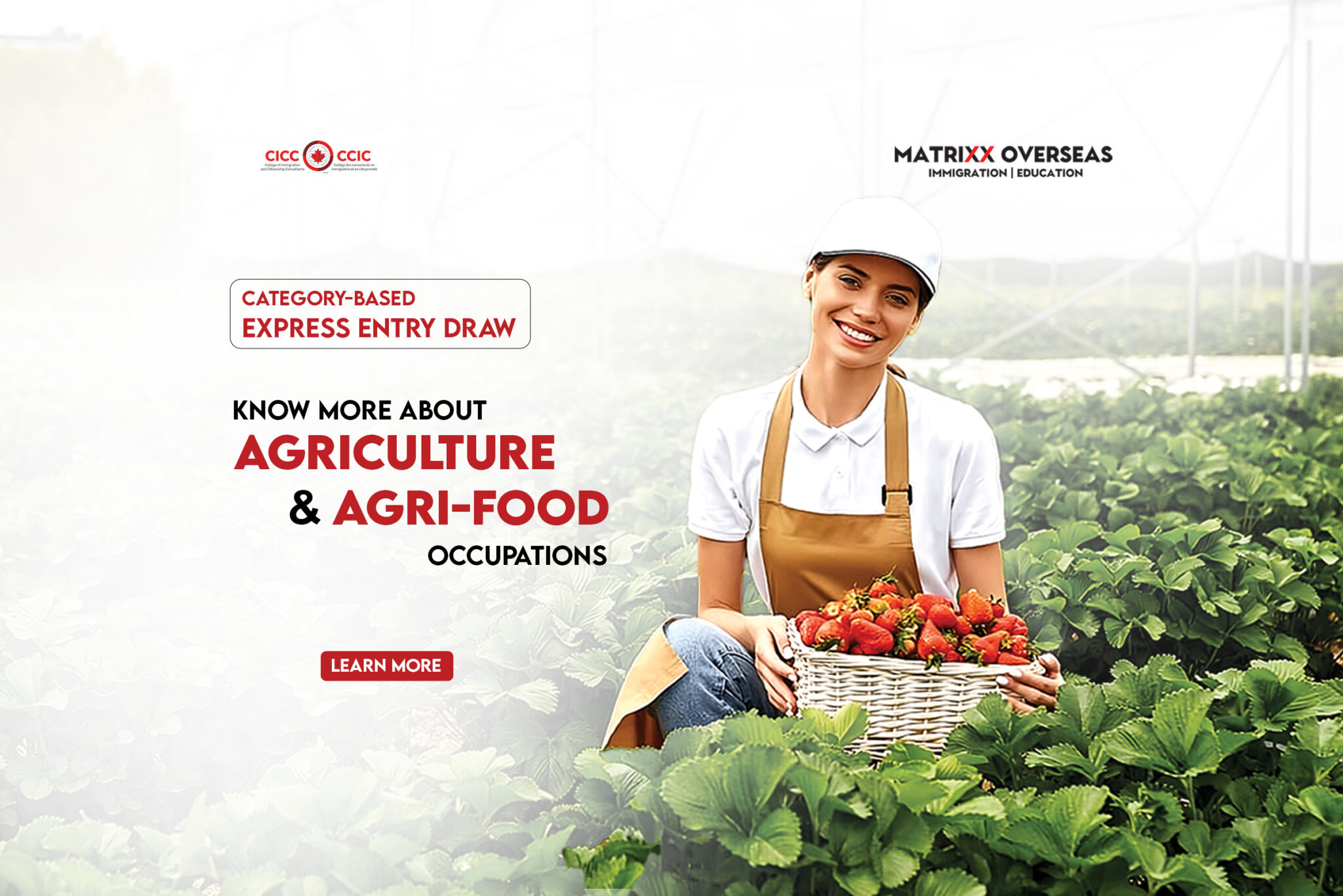Agriculture And Agri-Food Occupations In Category-based Express Entry ...